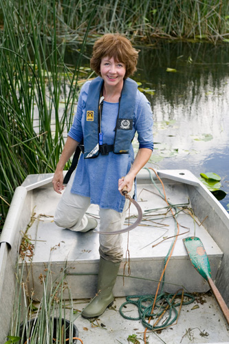 Anna Lewington Writer and Researcher - News RushWorks