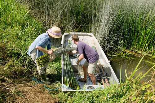 Anna Lewington Writer and Researcher - News RushWorks