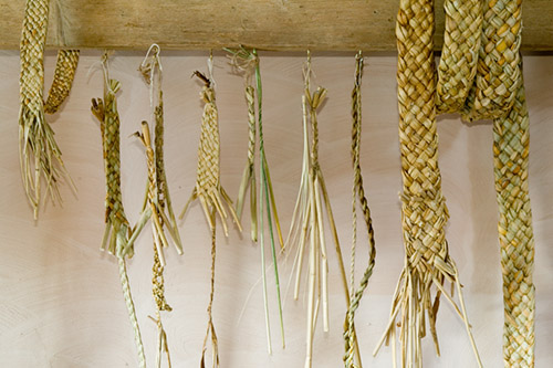 Anna Lewington Writer and Researcher - News RushWorks