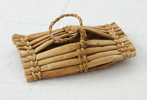 Anna Lewington Writer and Researcher - News RushWorks