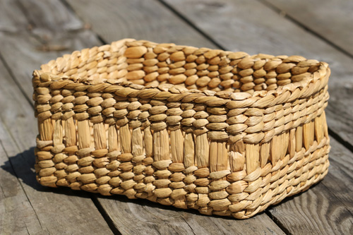 Anna Lewington Writer and Researcher - News RushWorks