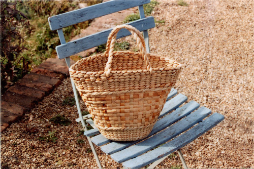 Anna Lewington Writer and Researcher - News RushWorks