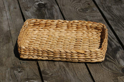 Anna Lewington Writer and Researcher - News RushWorks