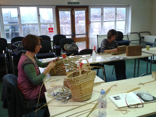 Anna Lewington Writer and Researcher - News RushWorks