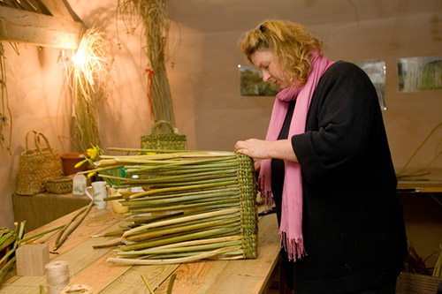 Anna Lewington Writer and Researcher - News RushWorks