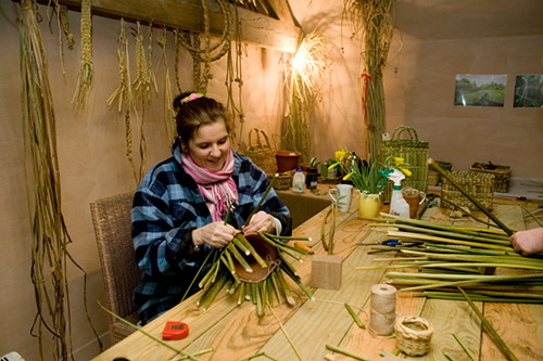 Anna Lewington Writer and Researcher - News RushWorks