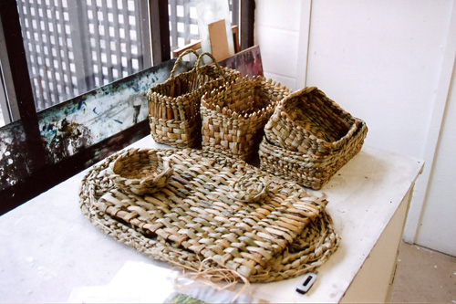 Anna Lewington Writer and Researcher - News RushWorks