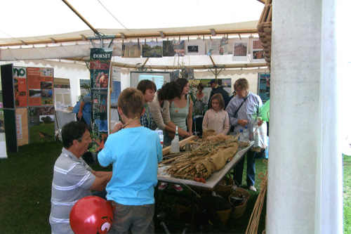 Anna Lewington Writer and Researcher - News RushWorks