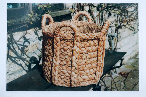 Anna Lewington Writer and Researcher - News RushWorks