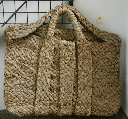 Anna Lewington Writer and Researcher - News RushWorks