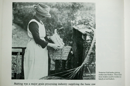 Anna Lewington Writer and Researcher - News RushWorks